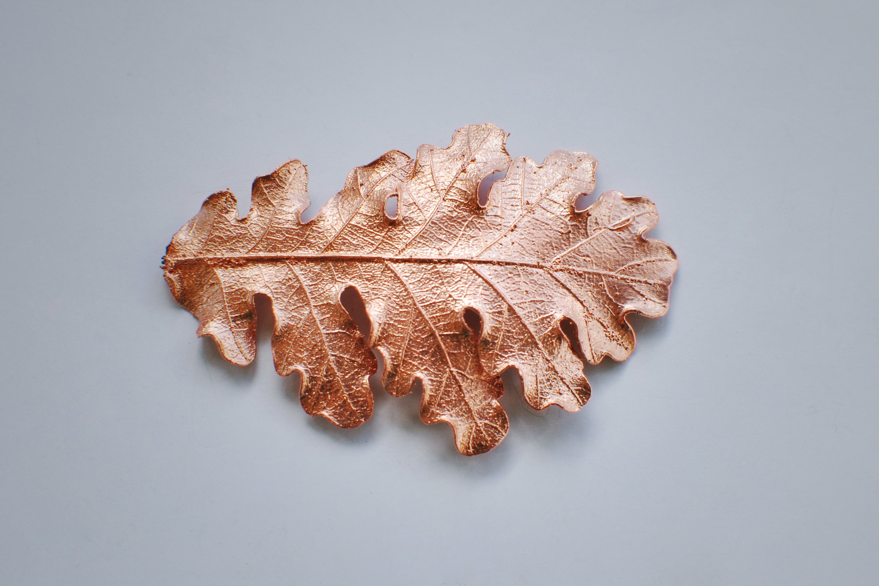 Copperplated Oak Leaf Electroformed Leaf Real Oak Leaf - Etsy