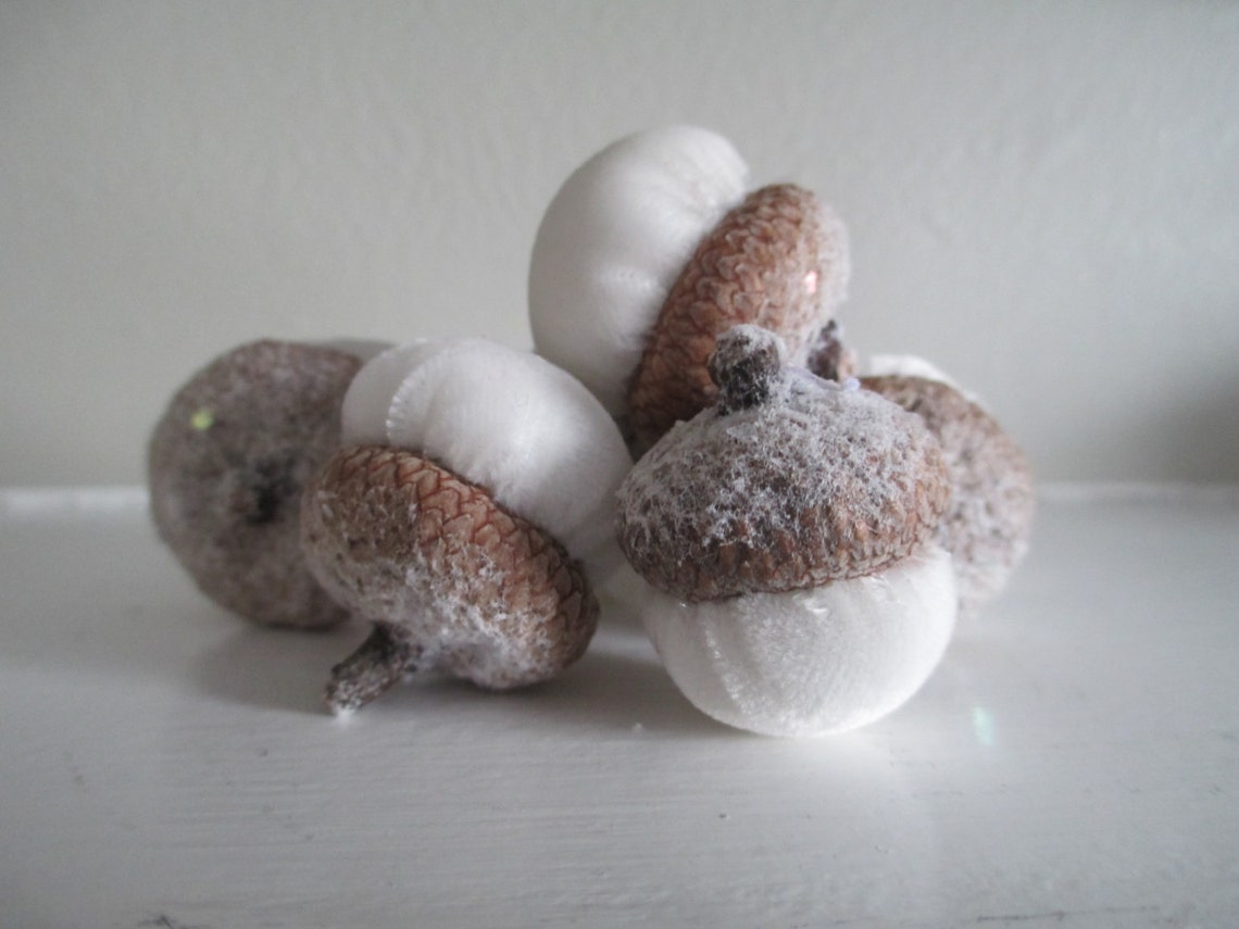 7 Silk Velvet Acorns Topped With Real Acorn Caps and Flocked With Snow ...