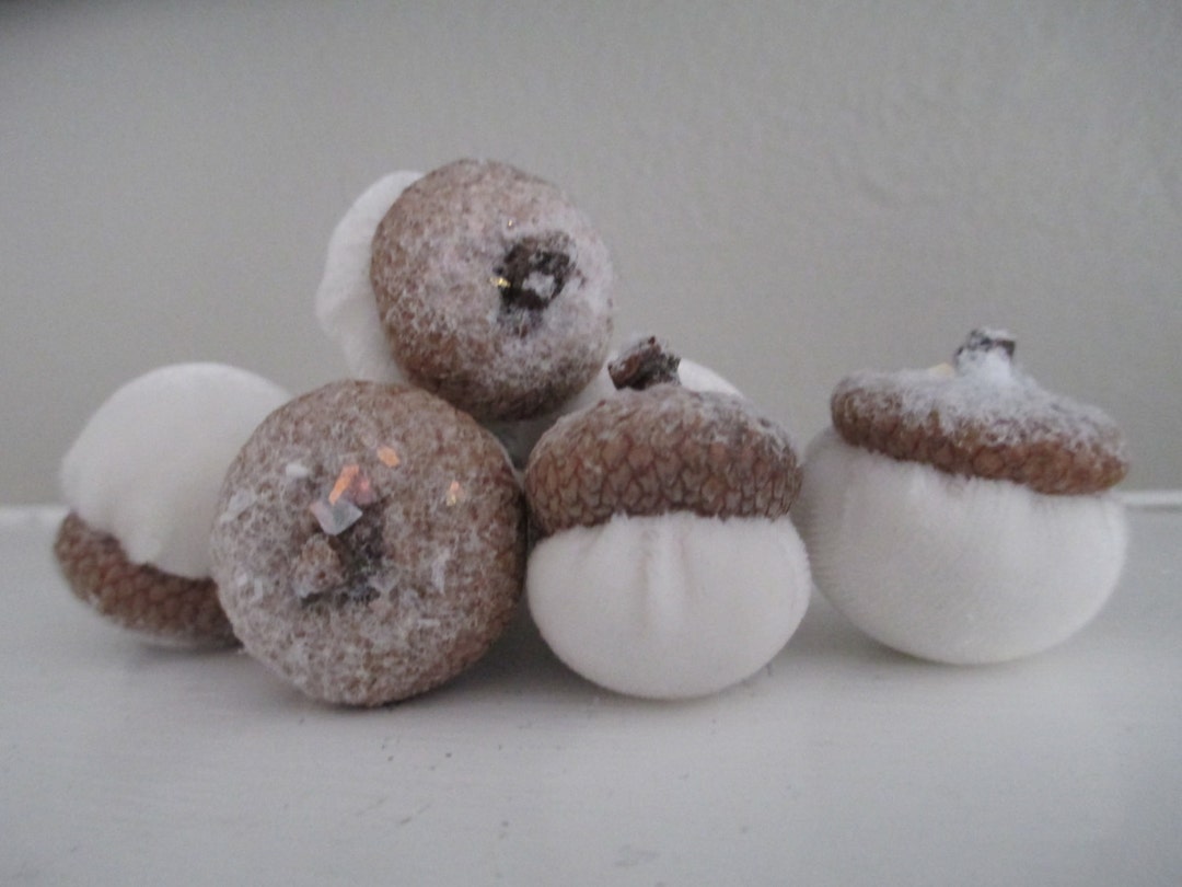 7 Silk Velvet Acorns Topped With Real Acorn Caps and Flocked With Snow ...