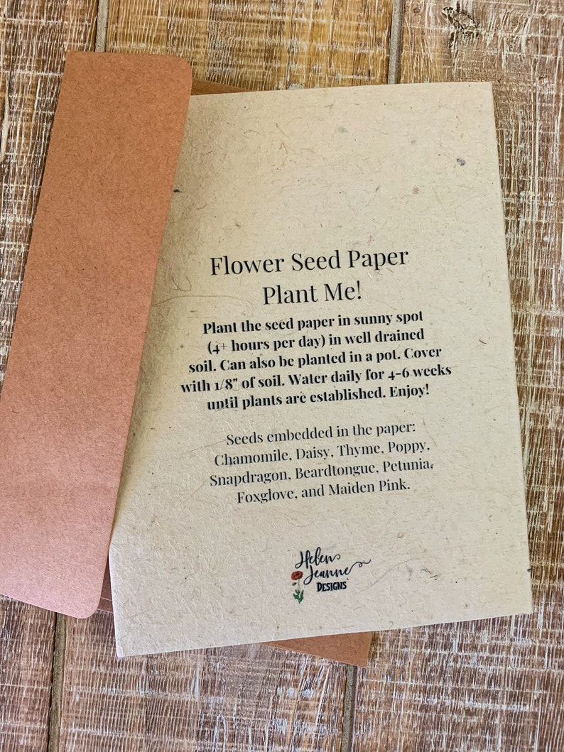 Plantable Flower Seed Greeting Cards Eco Friendly Cards - Etsy