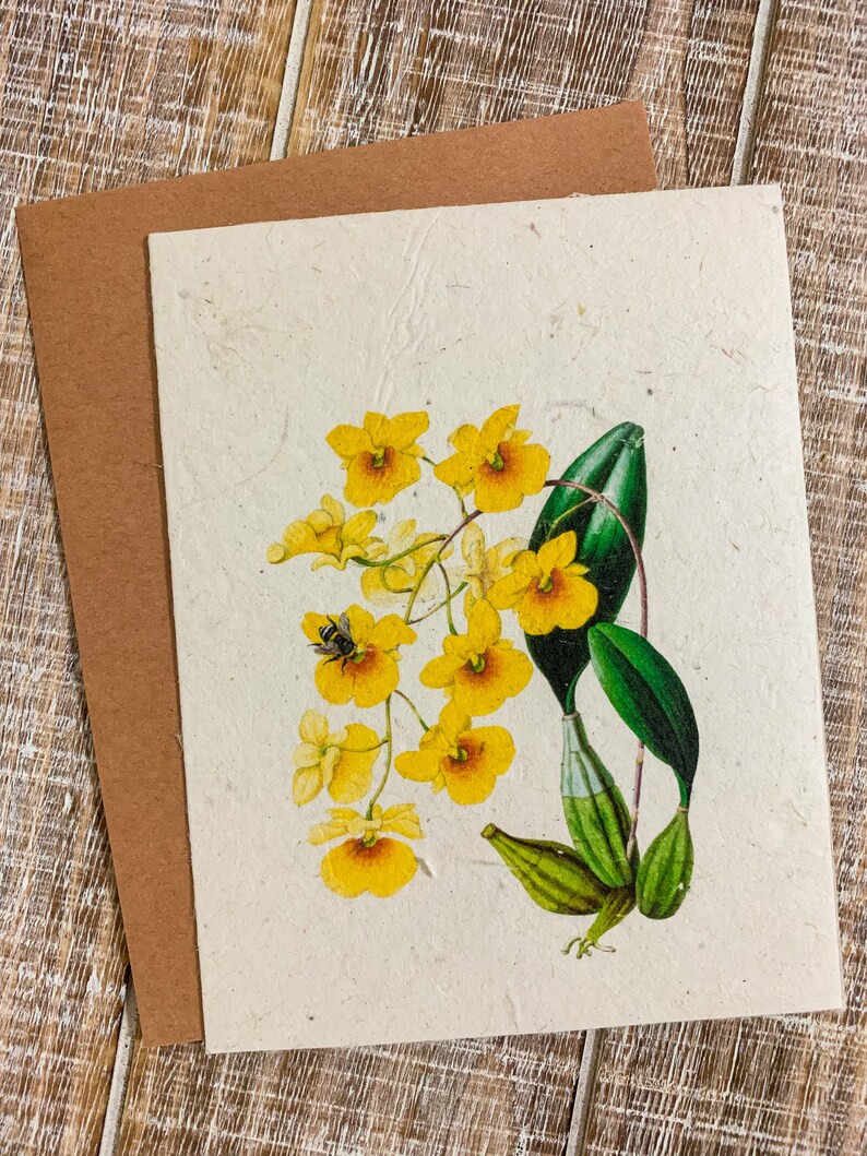 Plantable Flower Seed Greeting Cards Eco Friendly Cards | Etsy