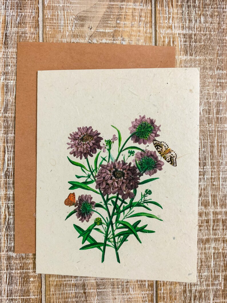Plantable Flower Seed Greeting Cards Eco Friendly Cards - Etsy
