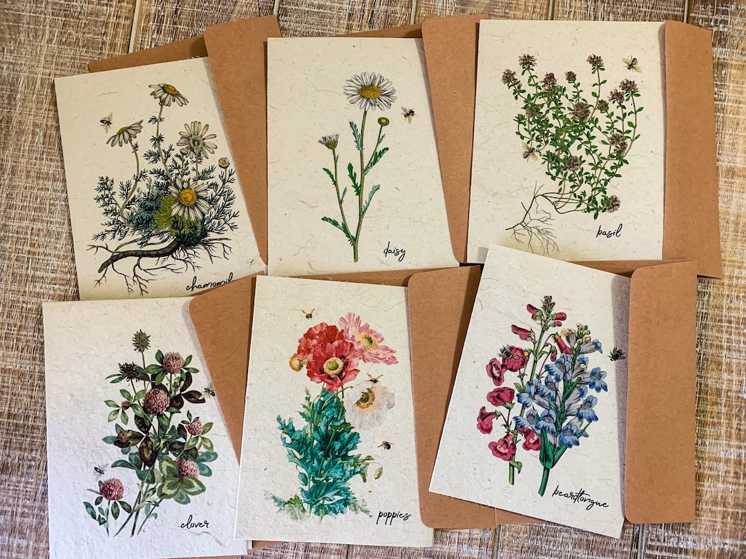Plantable Flower Seed Greeting Cards, Eco Friendly Cards, Wildflower ...