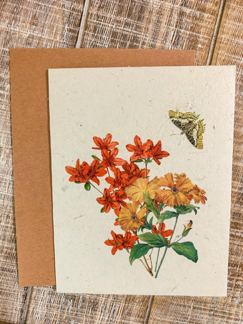 Plantable Flower Seed Greeting Cards Eco Friendly Cards | Etsy