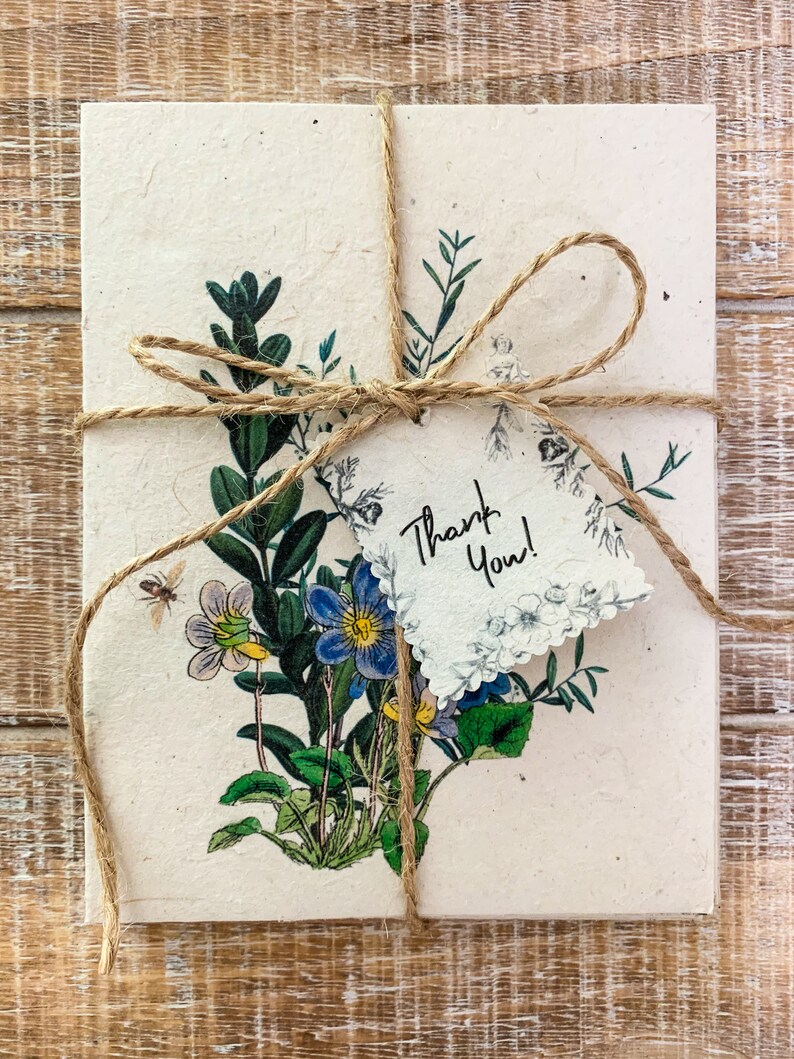 Plantable Flower Seed Greeting Cards Eco Friendly Cards - Etsy