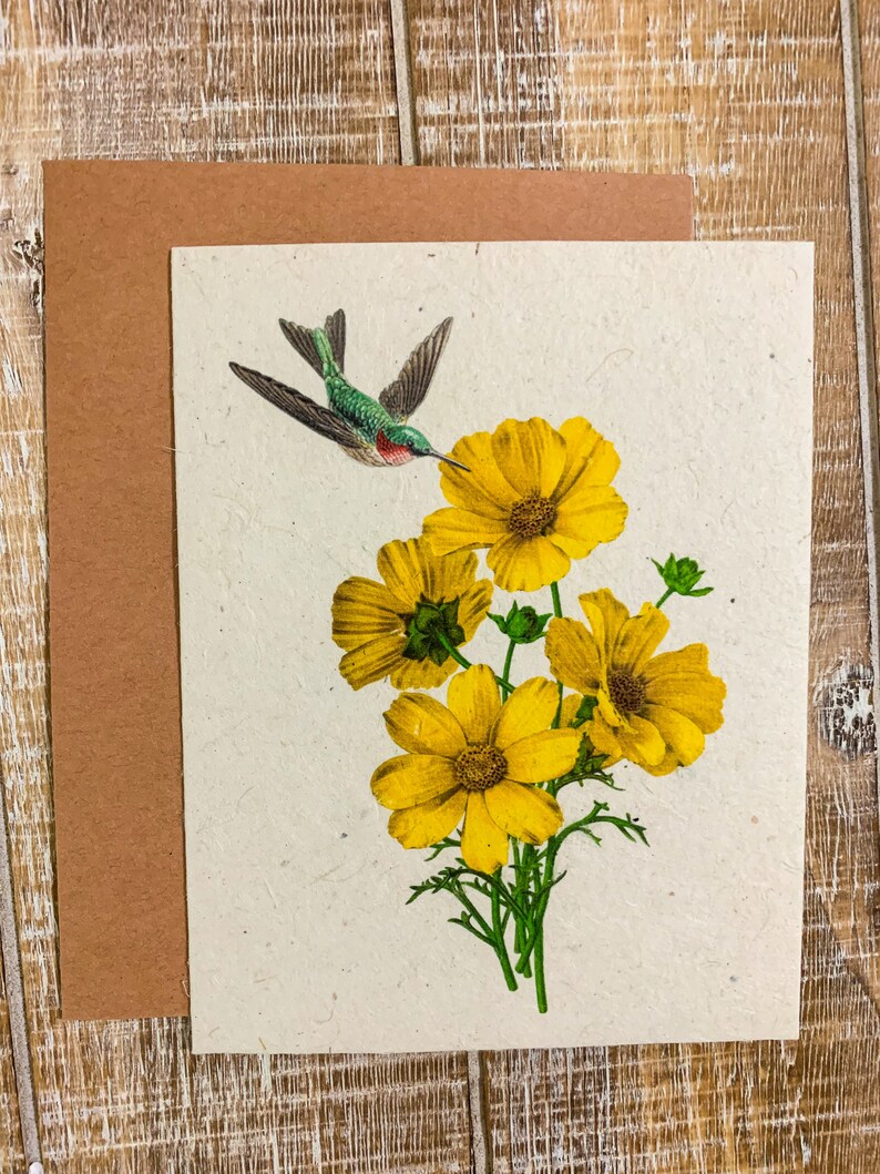 Plantable Flower Seed Greeting Cards Eco Friendly Cards | Etsy