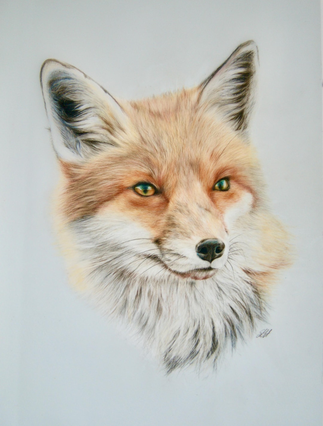 A4 Fox Portrait Fine Art Print - Etsy