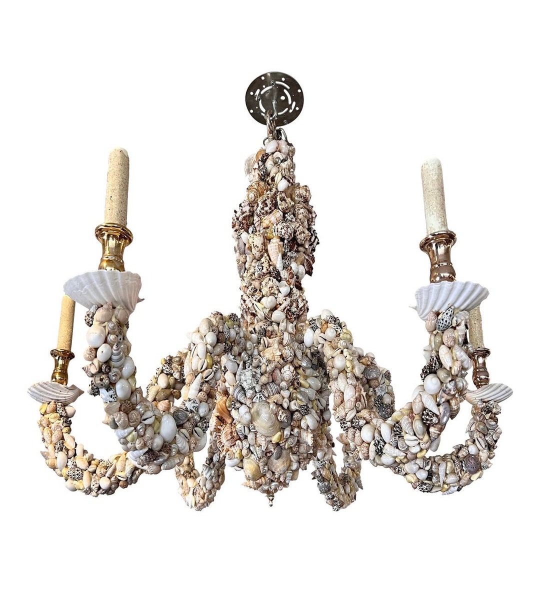 Sailor Art Seashell Shell Encrusted Chandelier Light Fixture - Etsy
