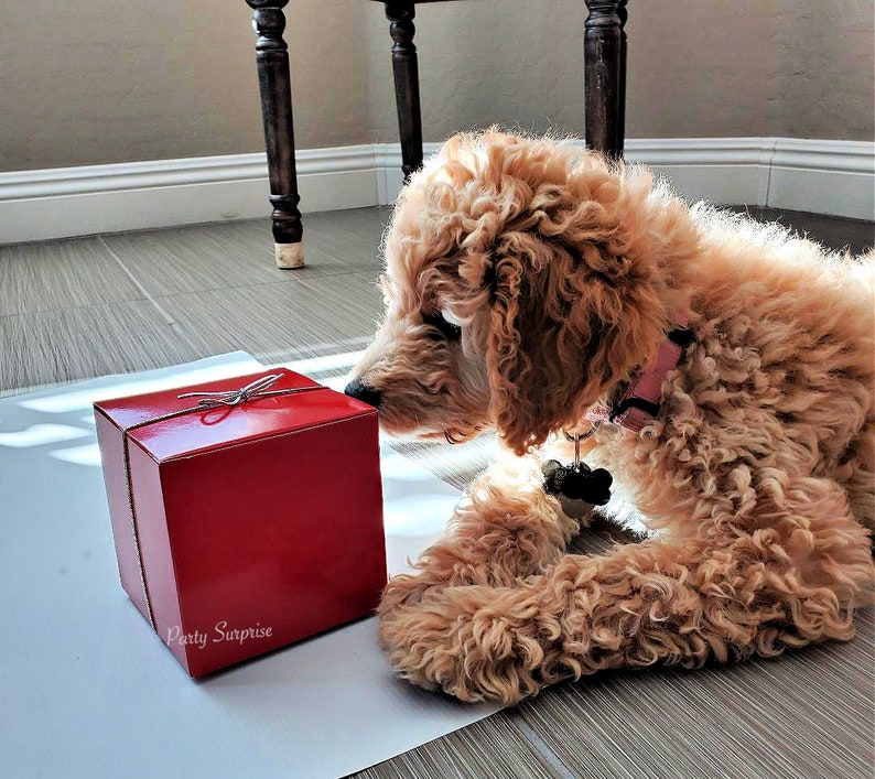 Black Gift Boxes Pinstripe Boxes 5x3x5 With Stretch | Etsy