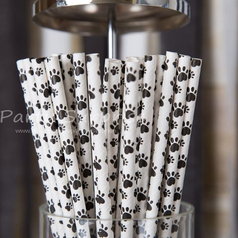Animal Straws - Etsy