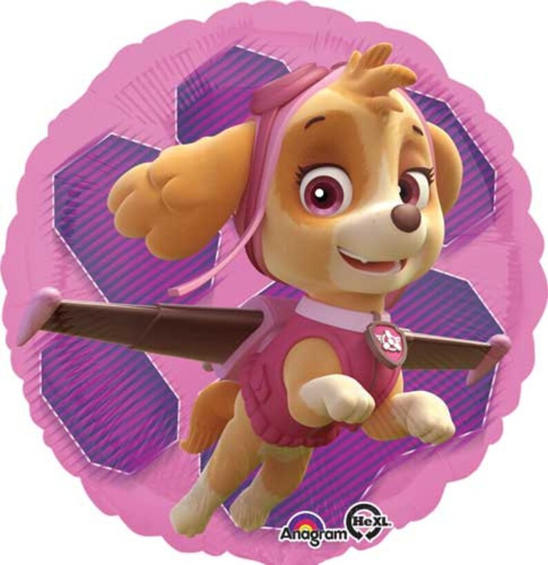 Paw Patrol Skye Balloon Package Rainbow Number Balloon Paw - Etsy