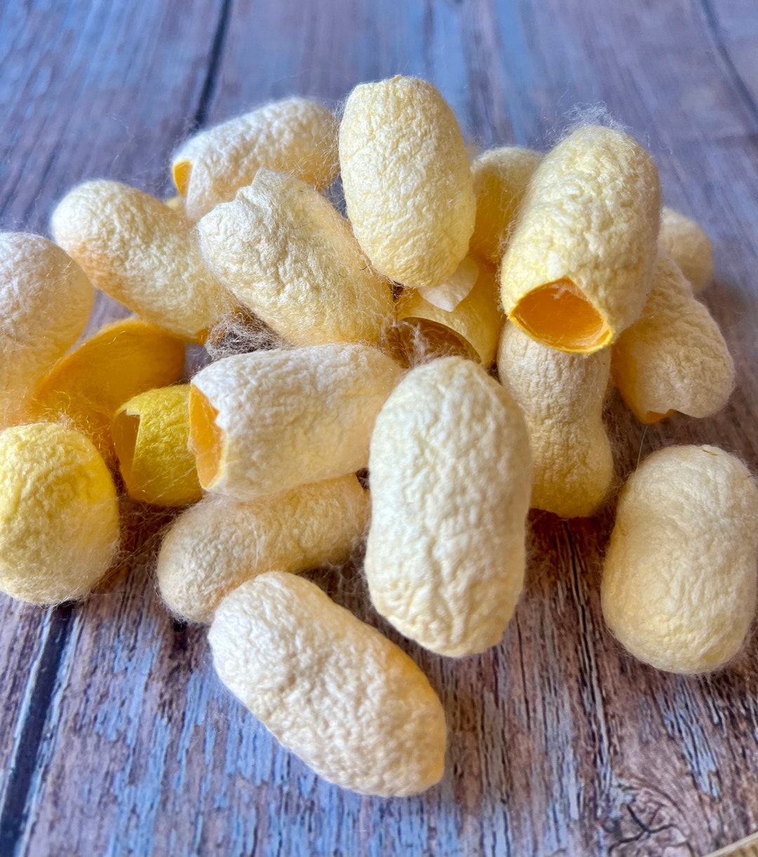 Cut, Unprocessed, Silk Cocoons - Etsy