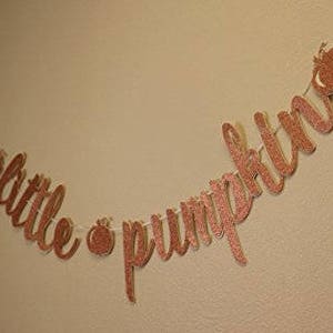 Copper Little Pumpkin Cursive Banner 1 Set Pumpkin Theme - Etsy
