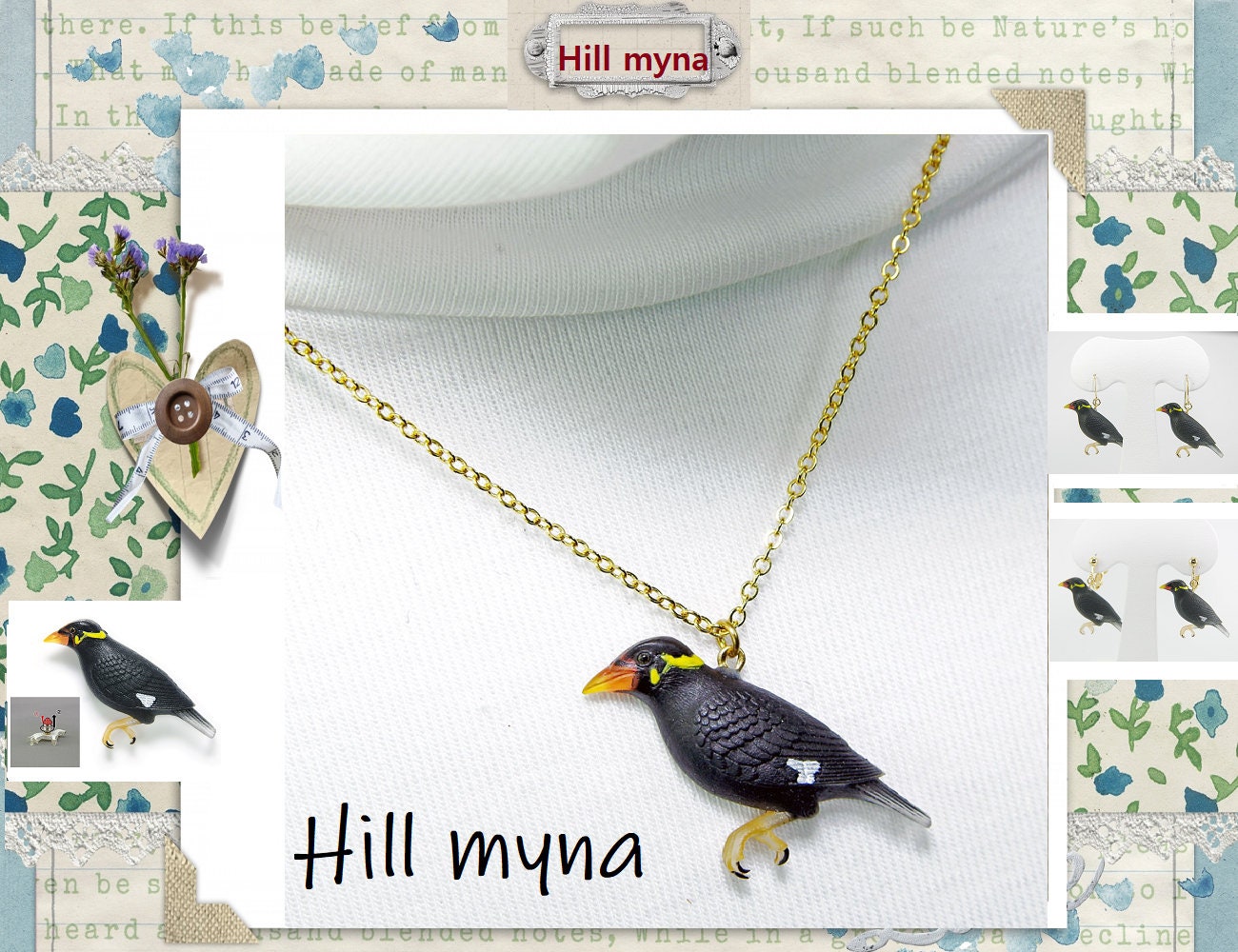 Hill Myna