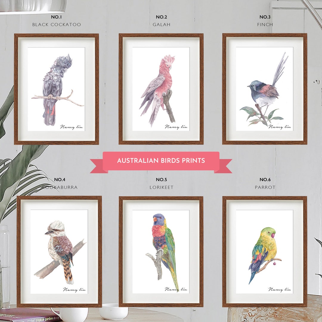 Australian Native Birds Art Prints Watercolour Painting - Etsy