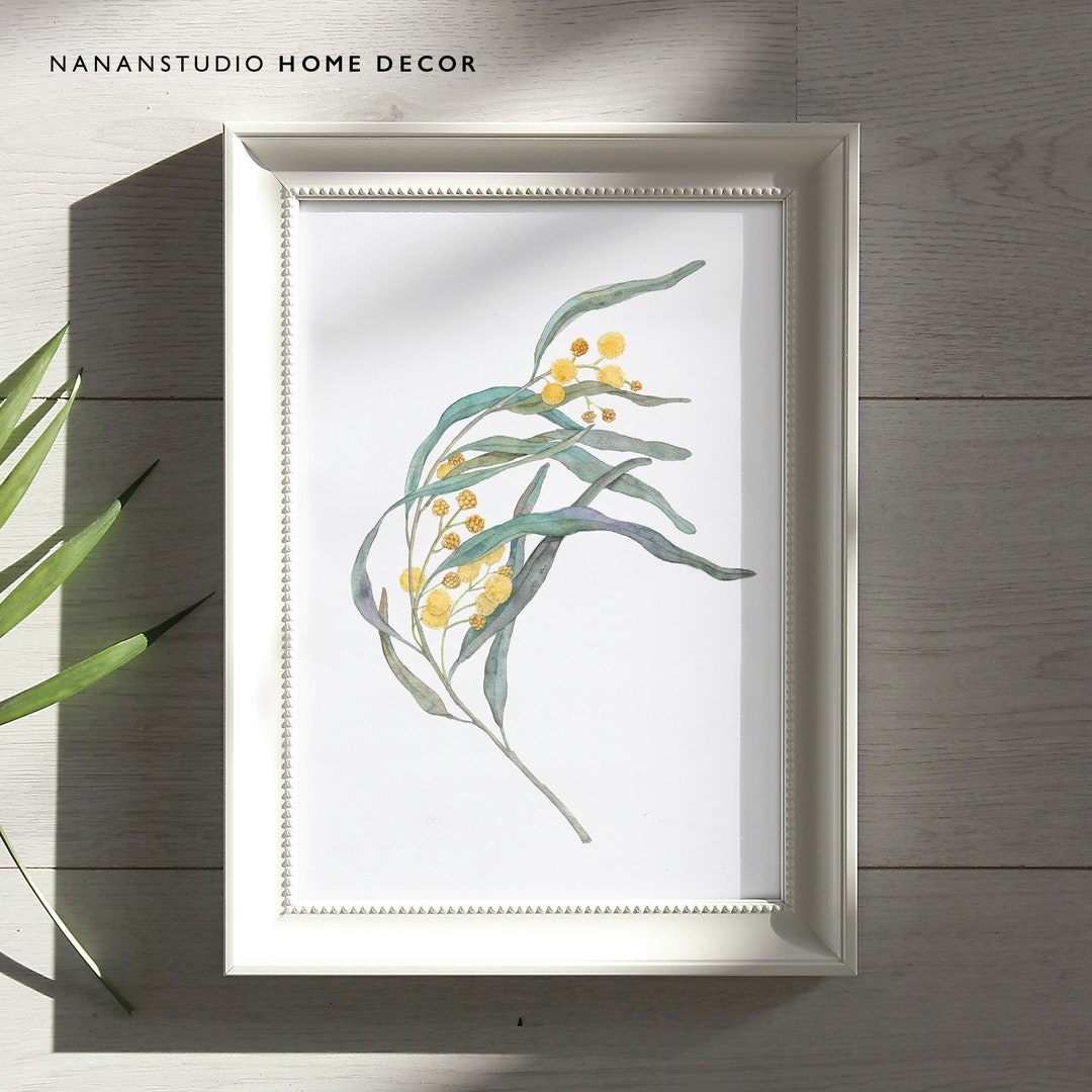 Golden Wattle, Original Art, Watercolour, Botanical Painting, Art Print ...