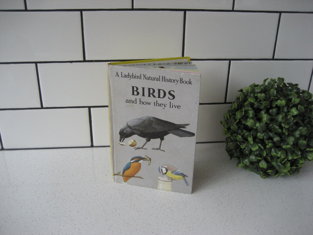 7" Vintage A Ladybird Natural History Book Birds & How They Live ...