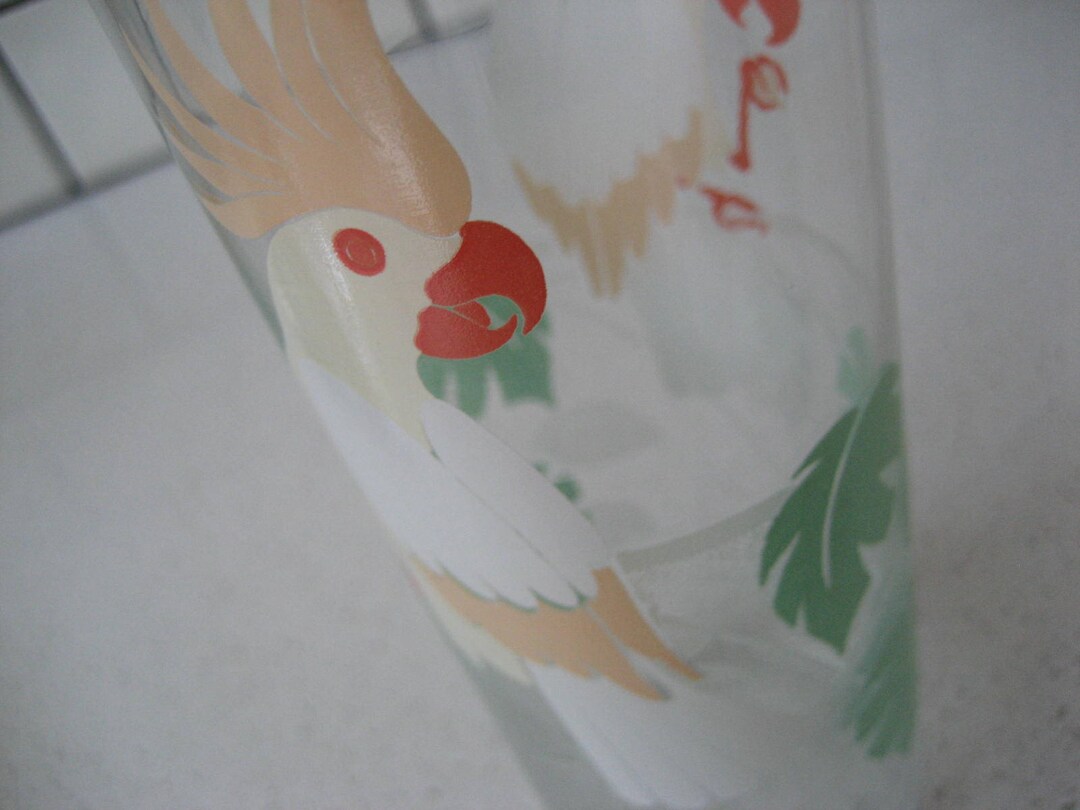 6.5" Vintage Cockatoo Highball Drinking Glass Vase Retro Crested Parrot ...