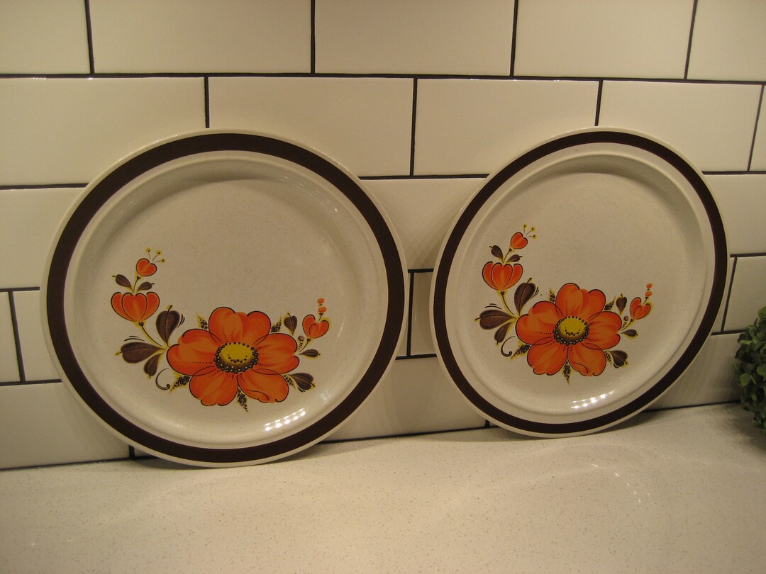 Pair 11" XL Vintage Heavy Dinner Plates Valencia Pattern Japan Retro ...
