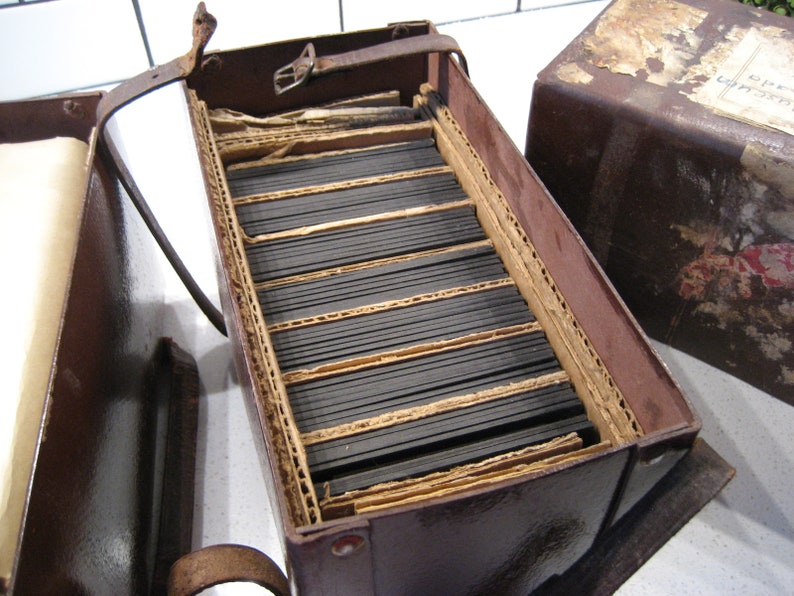 Antique 'eastern Newt' Glass Lantern Slide - National Museum of Canada ...