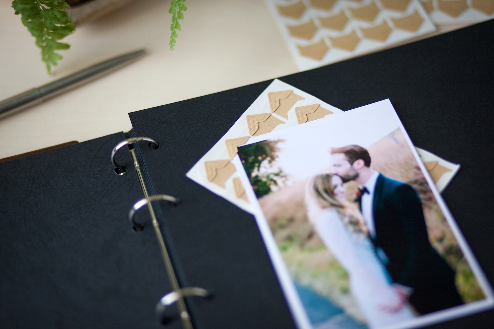 Photo Album Tree Scrapbook Tree of Life Wedding Album - Etsy