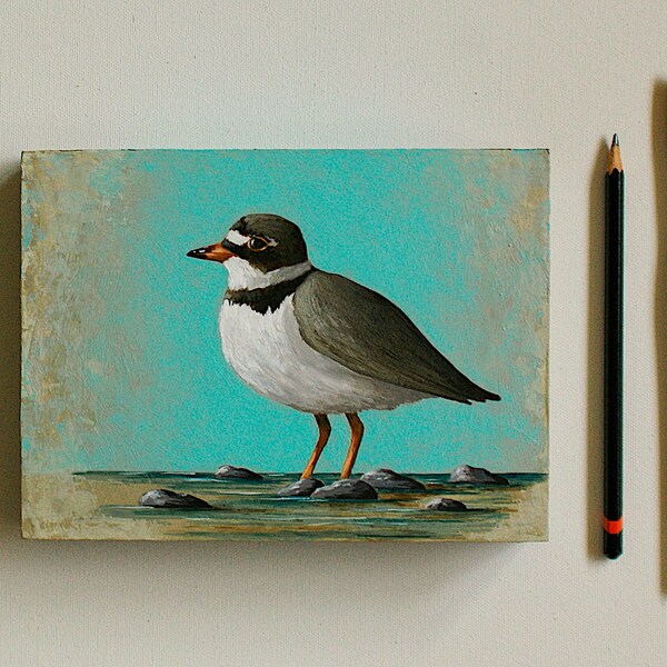 Small Bird Wall Art - Etsy