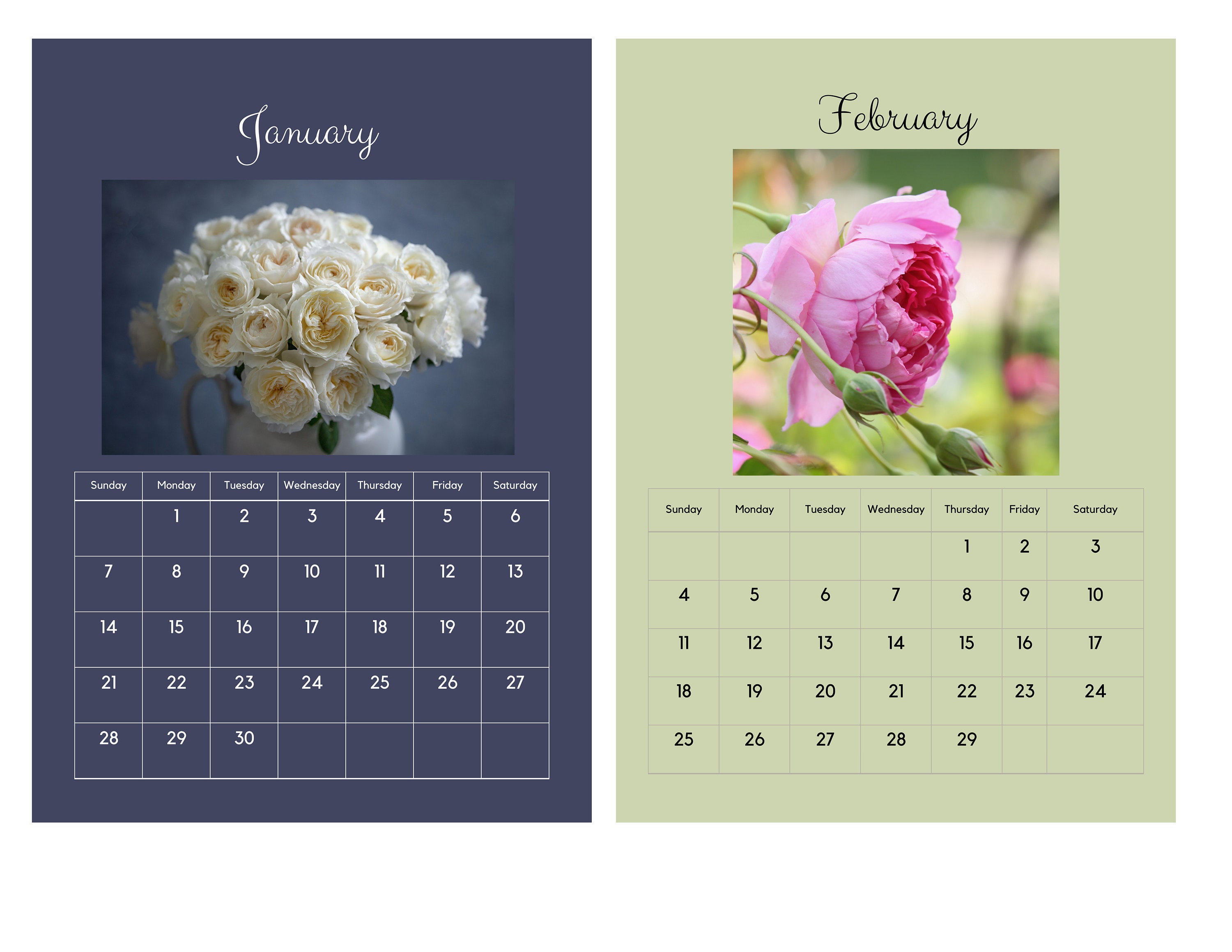 Digital Download 2024 Rose Calendar David Austin Roses Desktop Sized to ...