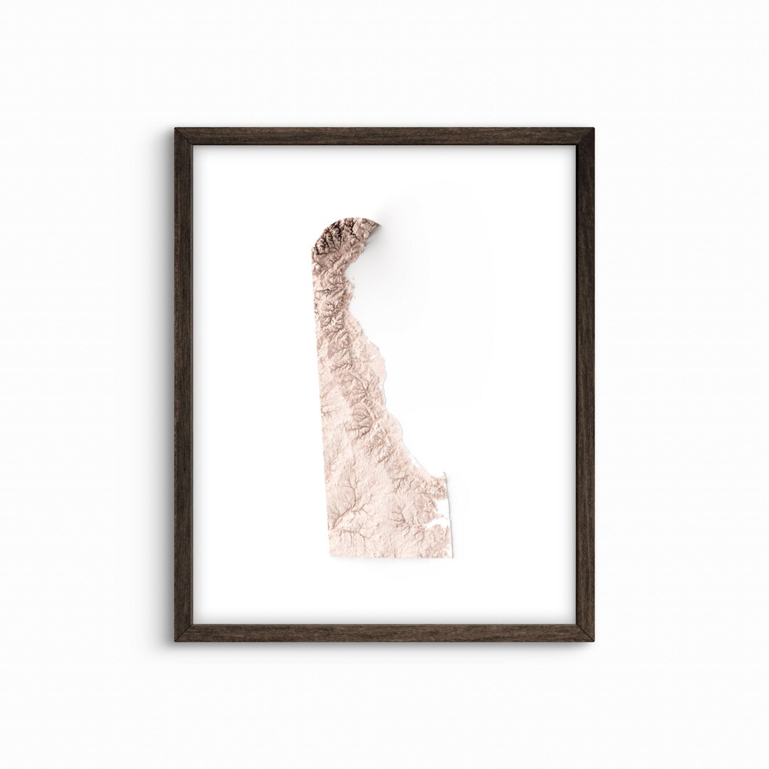 Delaware Shaded Relief Map Beige - Etsy