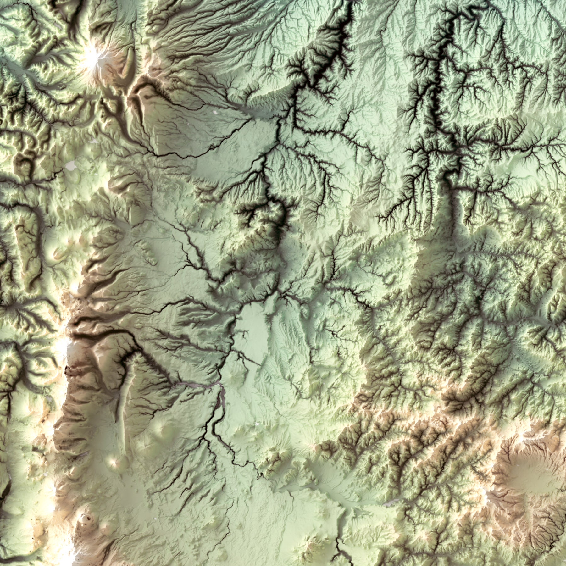 Oregon Shaded Relief Map Earth Tones - Etsy Oregon Shaded Relief Map Earth Tones - Etsy