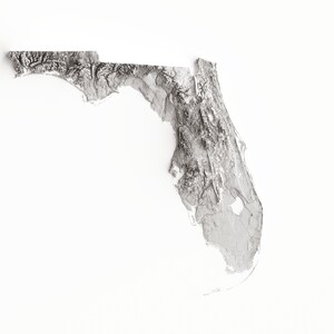 Florida Shaded Relief Map Monochrome - Etsy