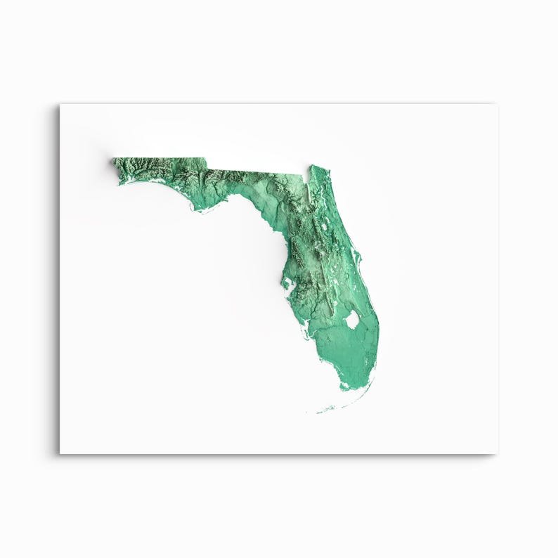 Florida Shaded Relief Map - CHOOSE YOUR STYLE - Unframed Print ...