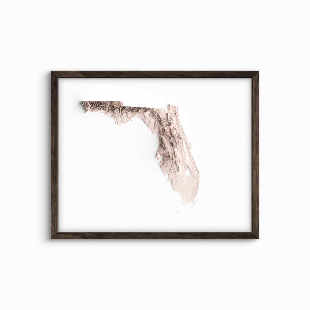 Florida Shaded Relief Map Beige - Etsy