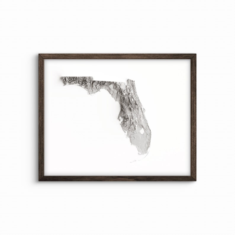 Florida Shaded Relief Map Monochrome - Etsy