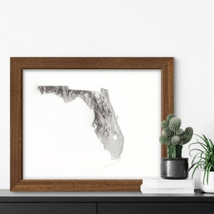 Florida Shaded Relief Map Monochrome - Etsy