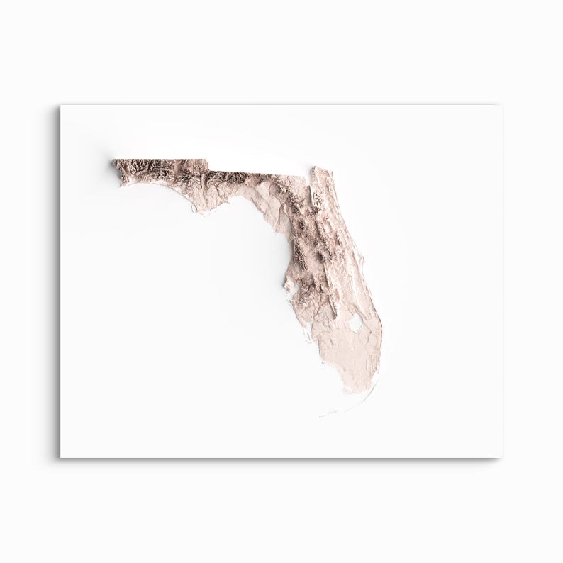 Florida Shaded Relief Map - CHOOSE YOUR STYLE - Unframed Print ...
