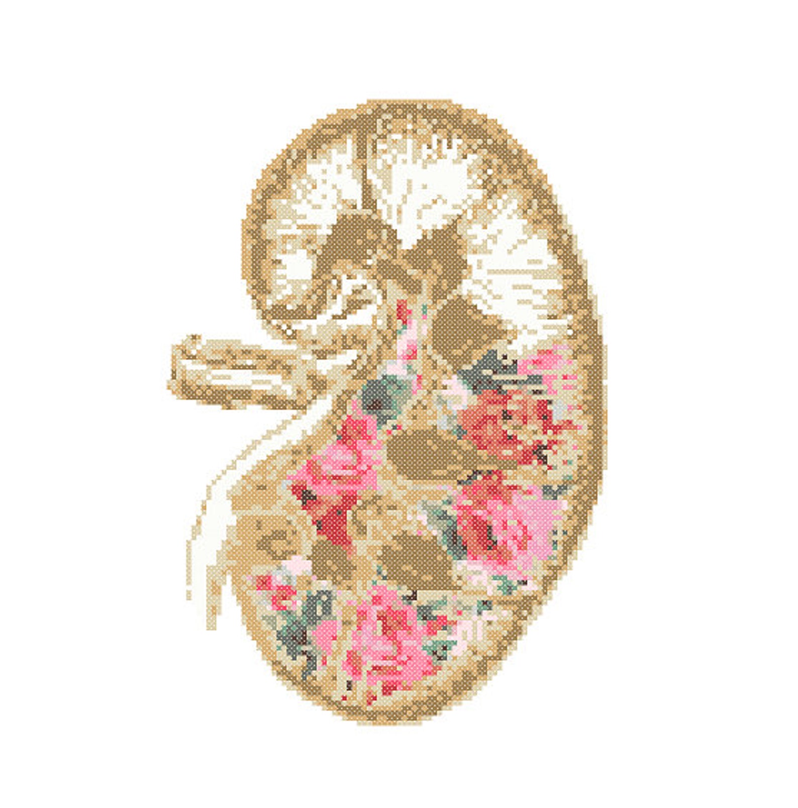 Floral Anatomical Kidney Cross Stitch Pattern Cross Stitch Floral ...