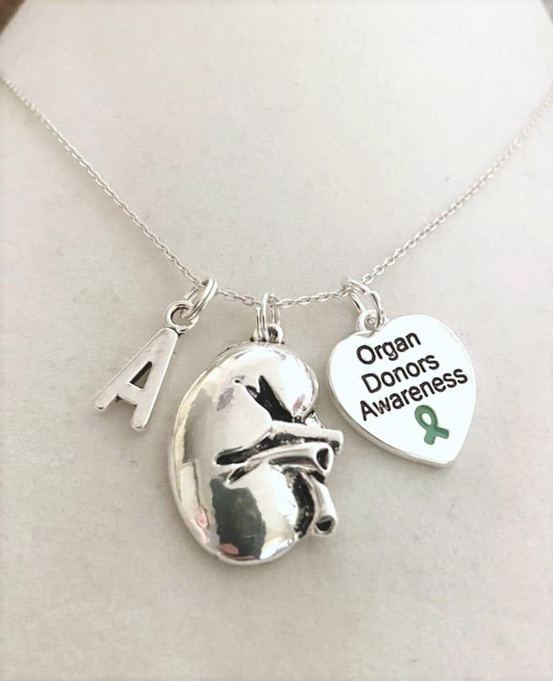 Kidney Organ Donor Necklace Kidney Transplant Kidney Disease - Etsy