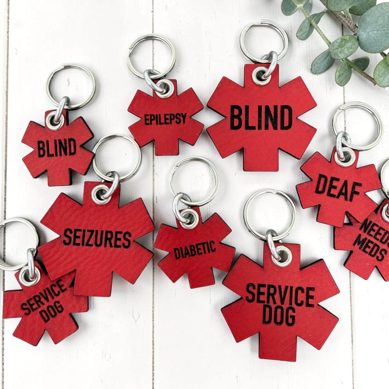 Engraved Medical Alert Pet Tags: for Small or Large Dog or Cat, Made ...