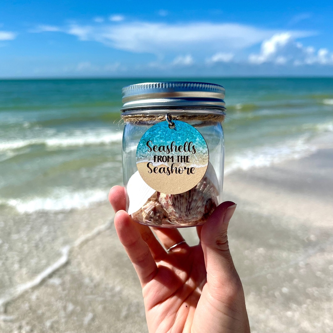 Plastic Seashell Jar for Collection, Seashells From the Seashore ...