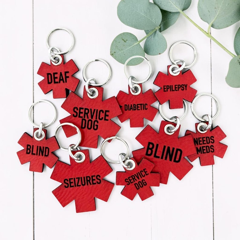 Engraved Medical Alert Pet Tags: for Small or Large Dog or Cat, Made ...