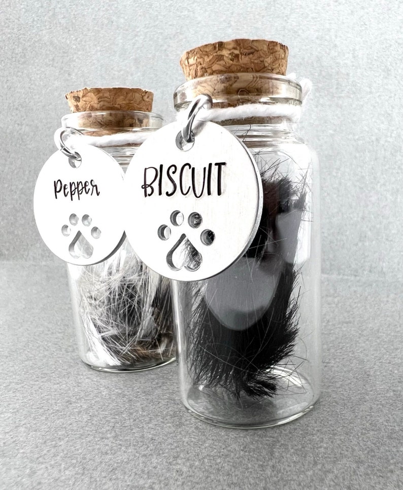 Pet Memorial Gift Pet Fur Keepsake Jar Pet Ashes Glass Jar - Etsy