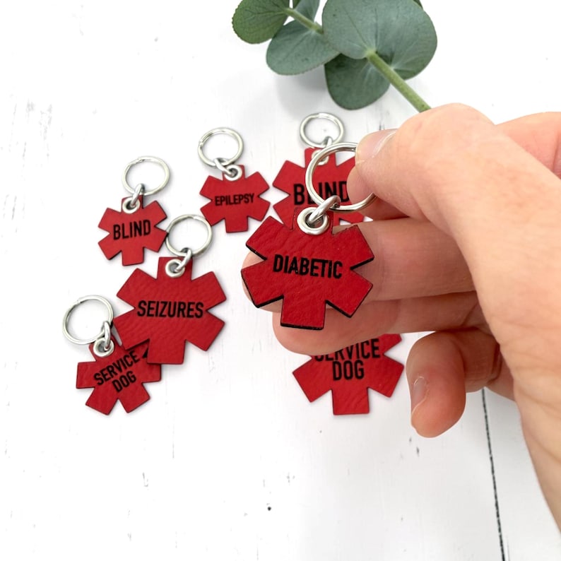 Engraved Medical Alert Pet Tags: for Small or Large Dog or Cat, Made ...