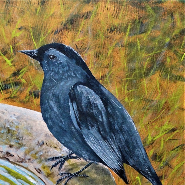 Catbird Painting - Etsy
