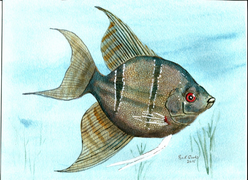 Angelfish (original Painting), Fish Art, Fish Watercolor, Aquarium Fish ...