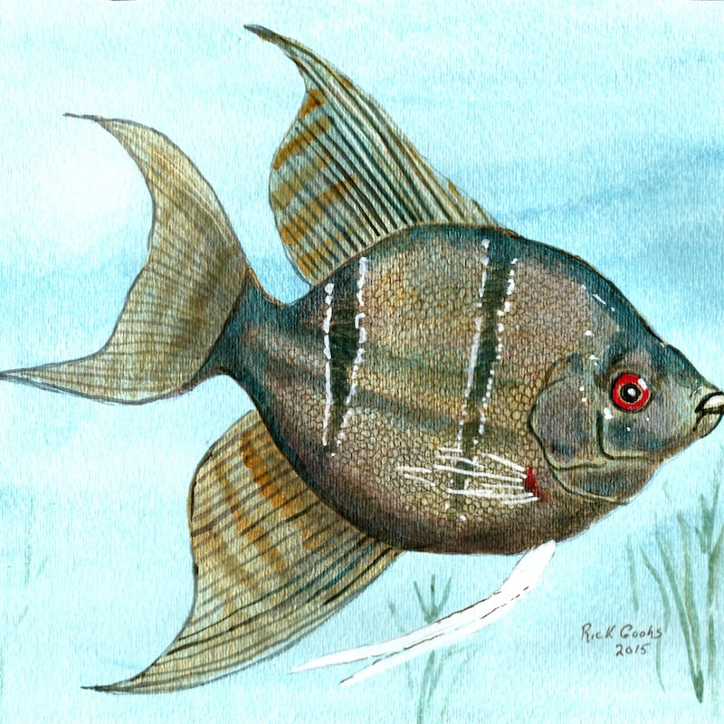 Angelfish Painting - Etsy