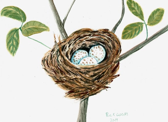 Nid du cardinal peinture originale peinture aquarelle | Etsy