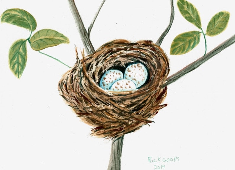 Nid du cardinal peinture originale, peinture aquarelle, oiseaux nichent ...