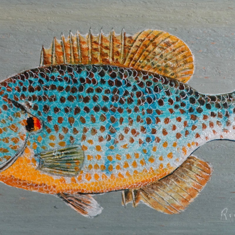 Sunfish Painting - Etsy