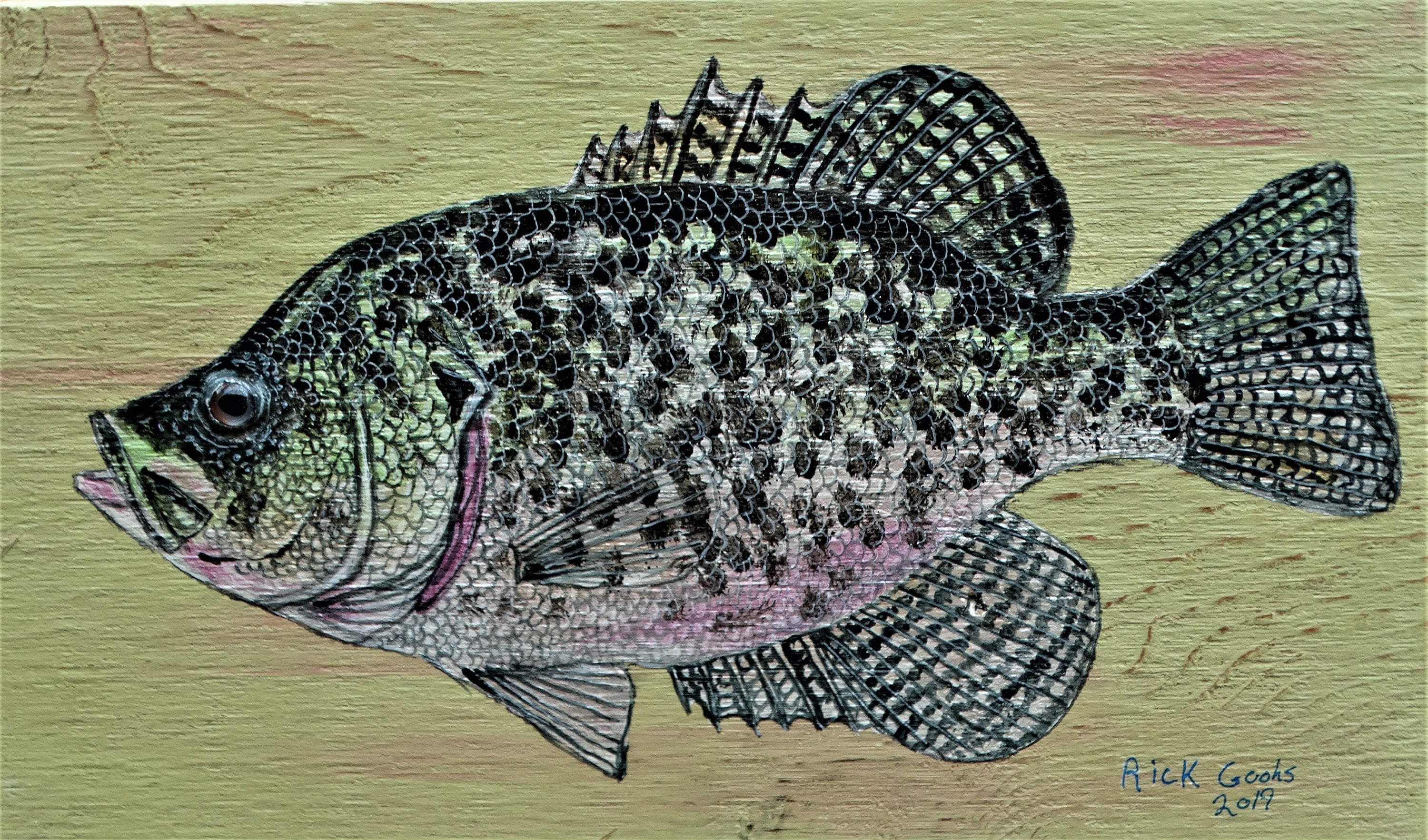 Black Crappie on Cedar Plank (original Acrylic Painting) Fish Wall Art ...