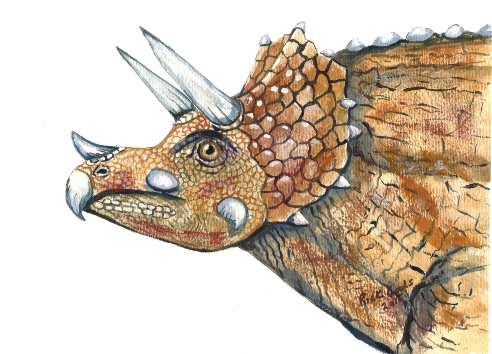 Triceratops Profile (original Painting) - Etsy